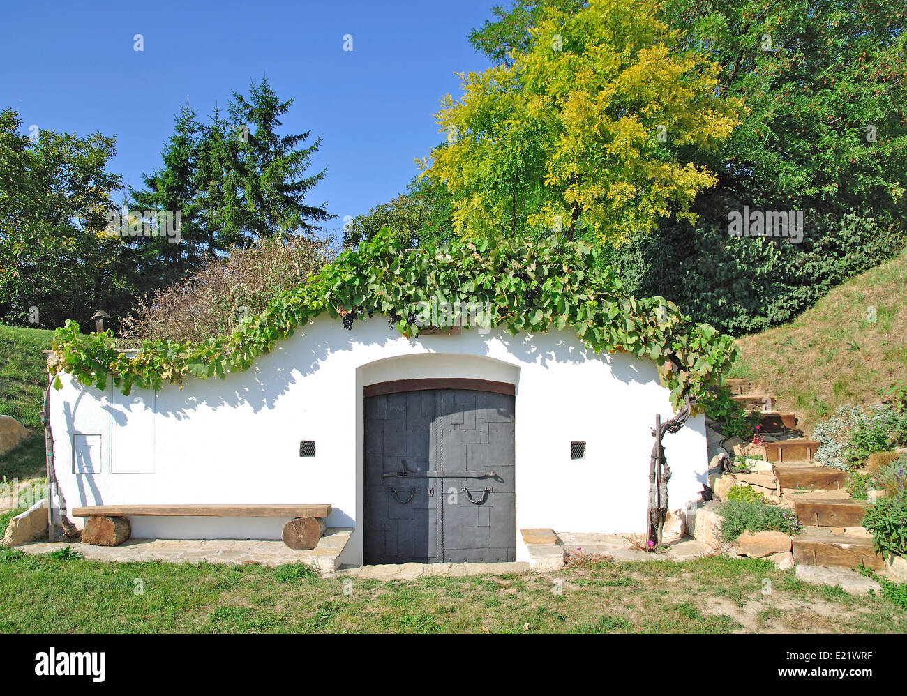 Typical wine cellar hi-res stock photography and images - Alamy