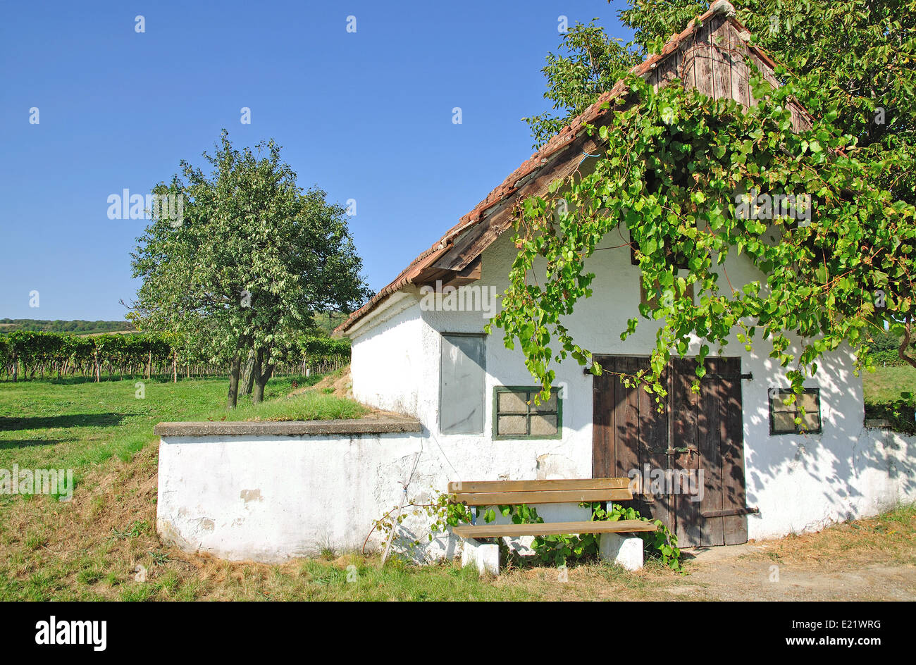 Typical wine cellar hi-res stock photography and images - Alamy