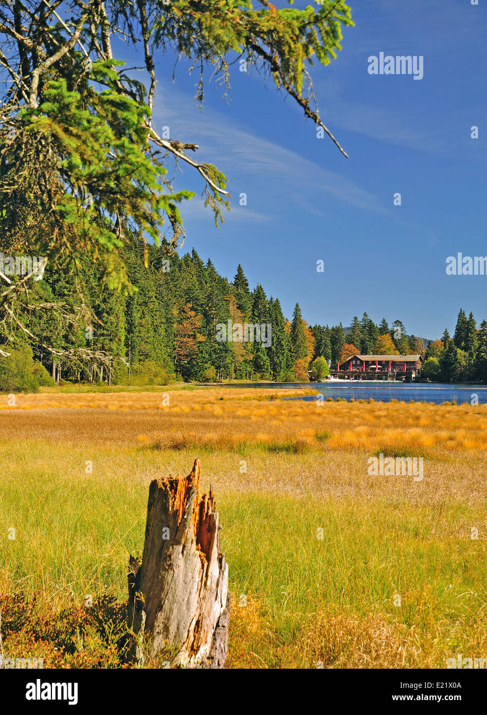 Arber region hi-res stock photography and images - Alamy