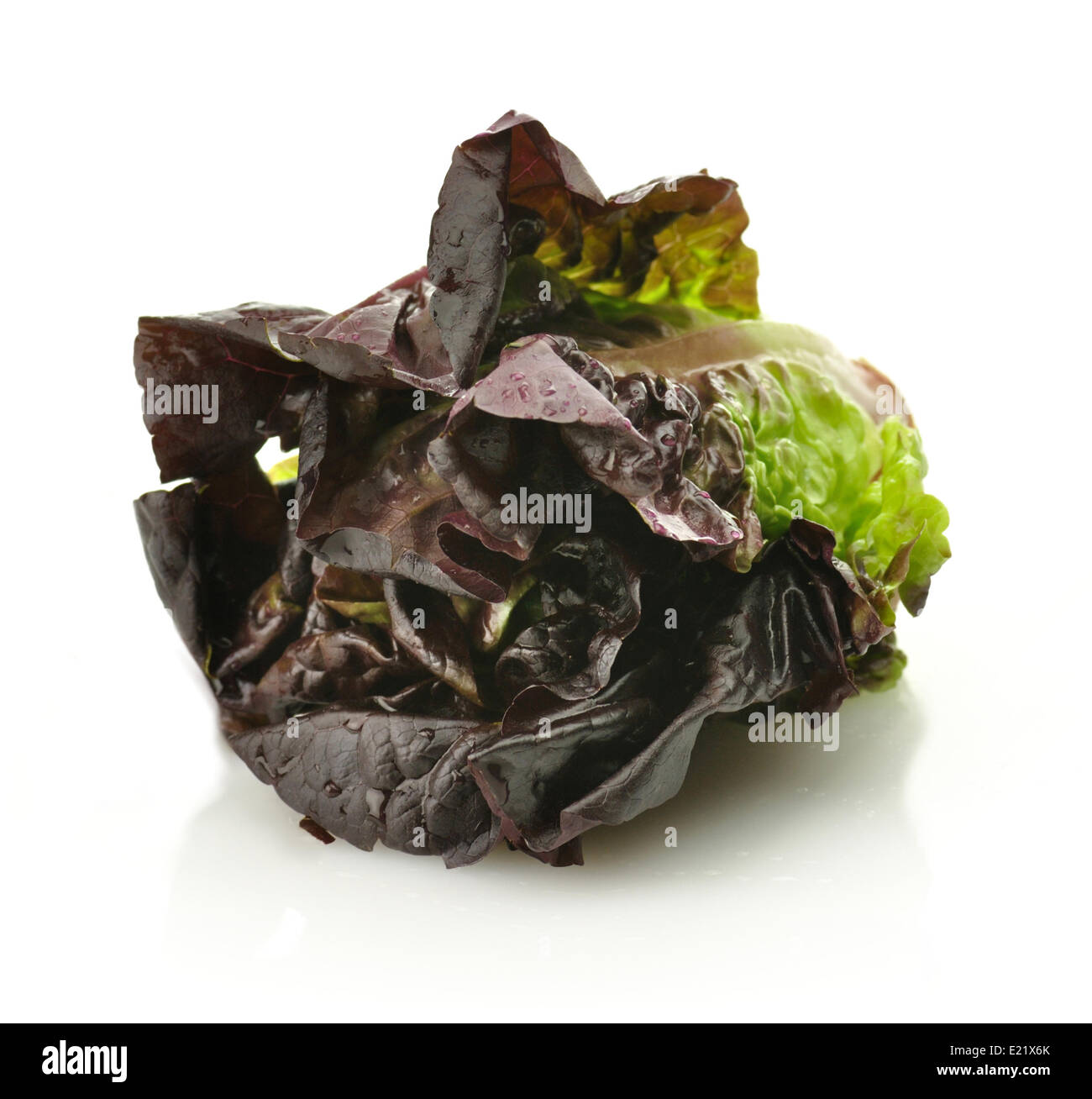 Red leafy lettuce hi-res stock photography and images - Alamy