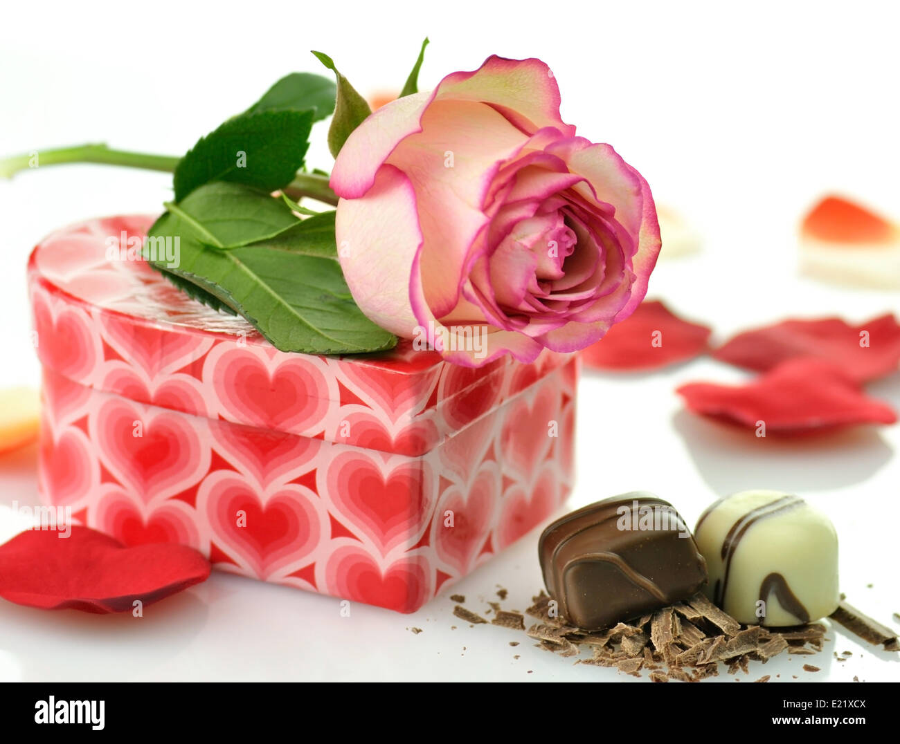 pink rose and gift box Stock Photo - Alamy