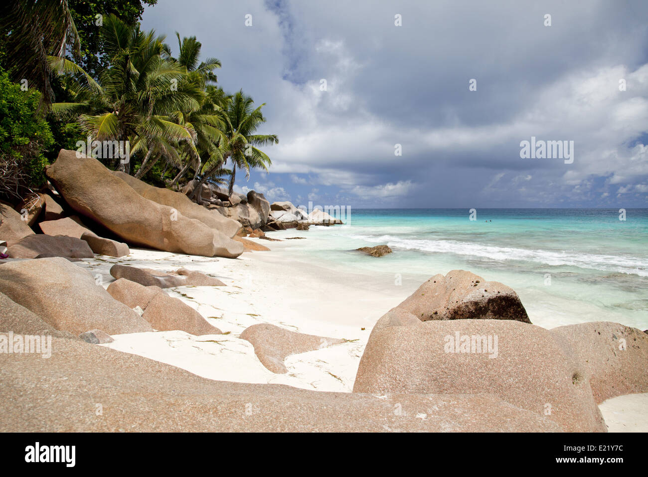 Dreamlike lonely beach with palm trees Stock Photo - Alamy