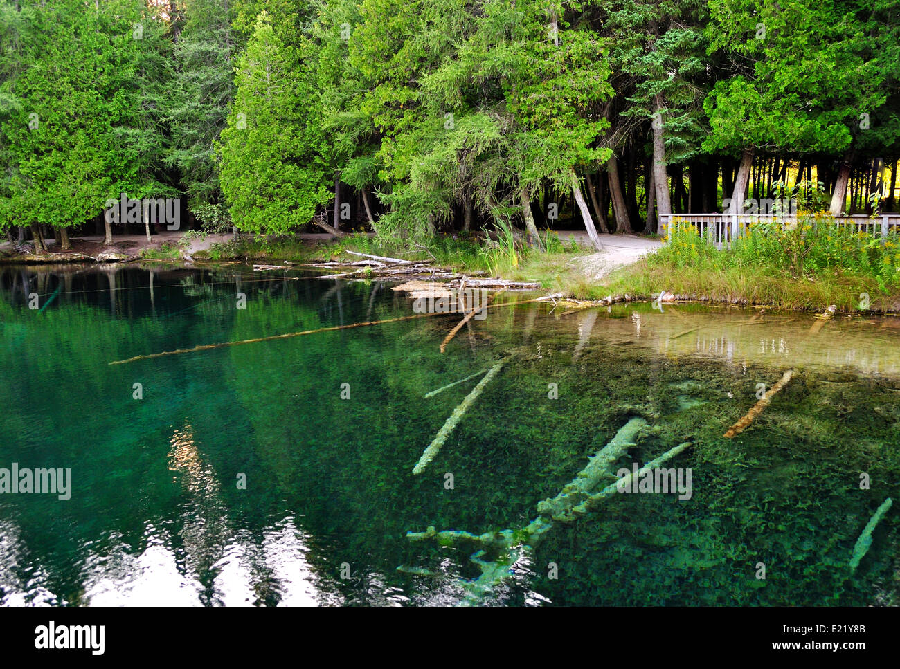 lake in the forest Stock Photo - Alamy
