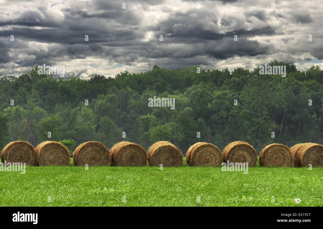 Grass bails hi-res stock photography and images - Alamy