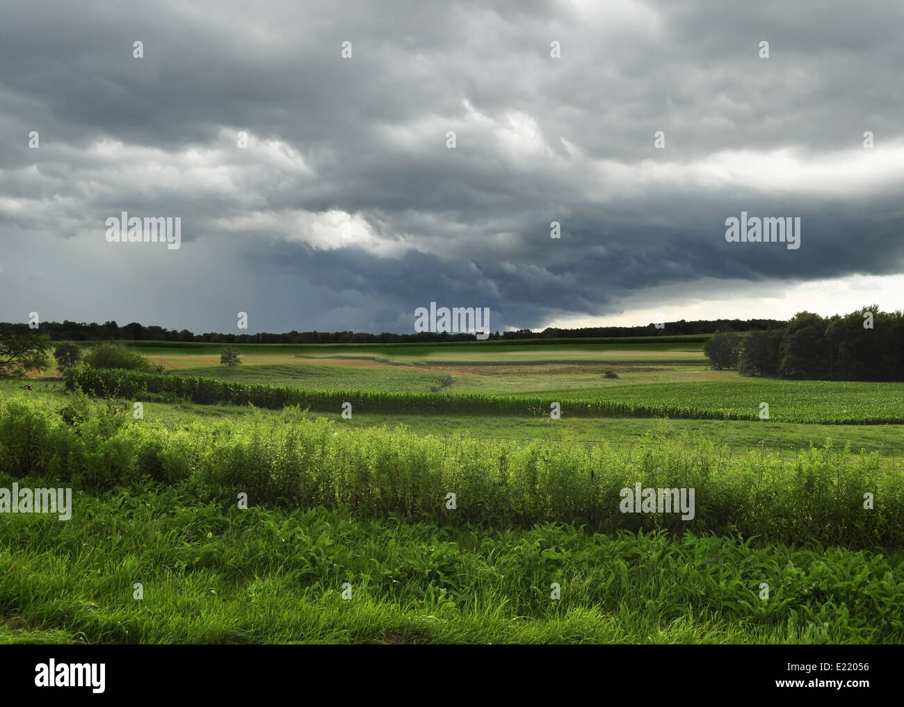 Field dark storm hi-res stock photography and images - Alamy