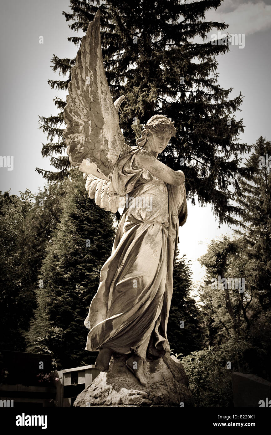Statue of an angel Stock Photo - Alamy