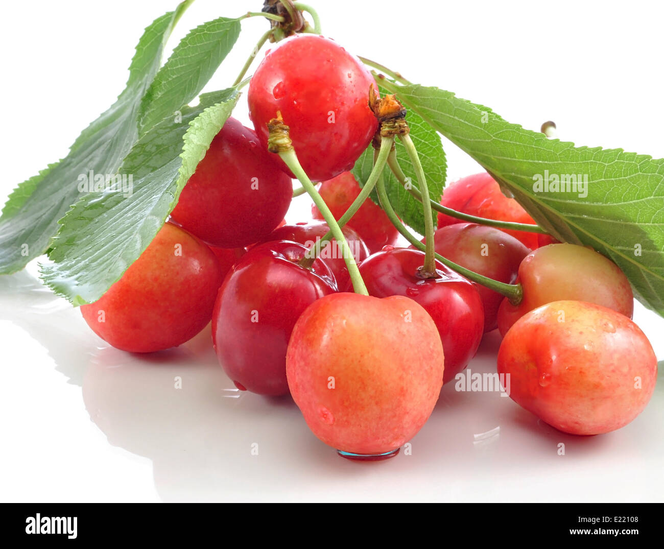 Large red cherry hi-res stock photography and images - Alamy