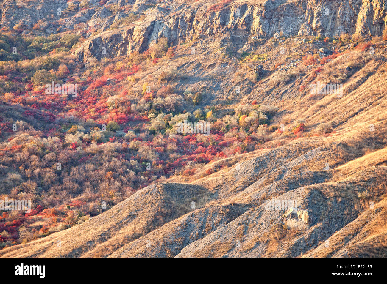 Scenic autumn hills trees hi-res stock photography and images - Alamy