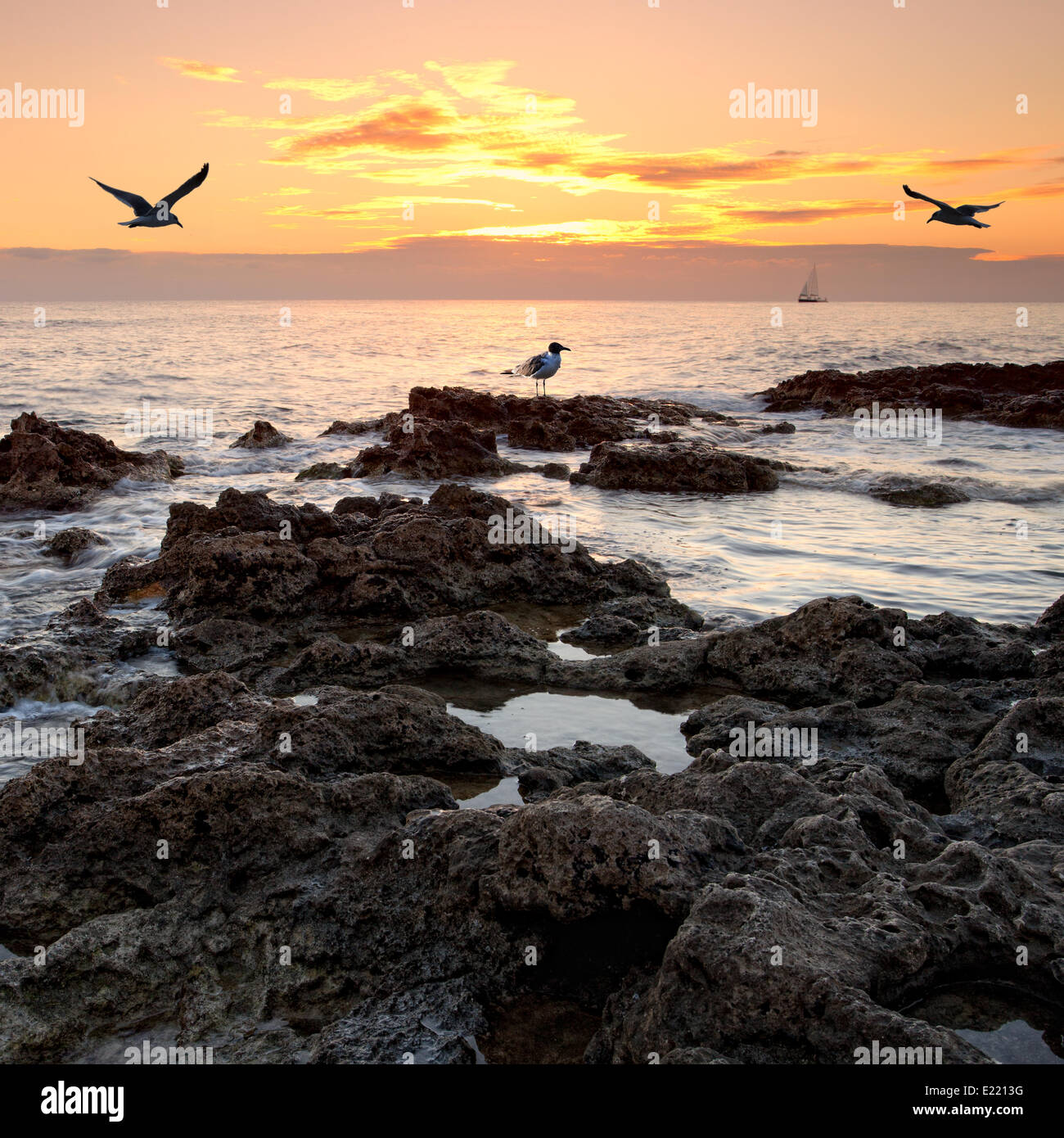 Coastal view coastal view hi-res stock photography and images - Alamy