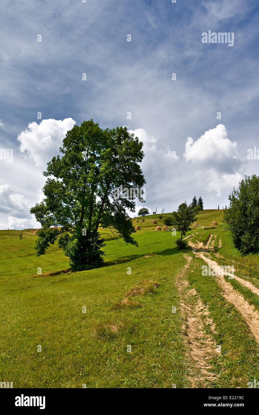 Beautiful countryside landscape Stock Photo - Alamy