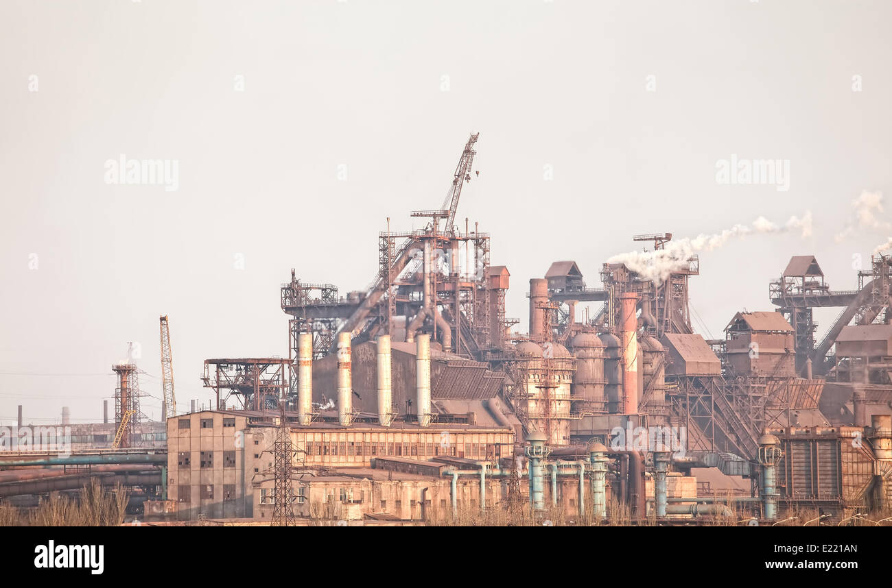 Bw plant hi-res stock photography and images - Alamy