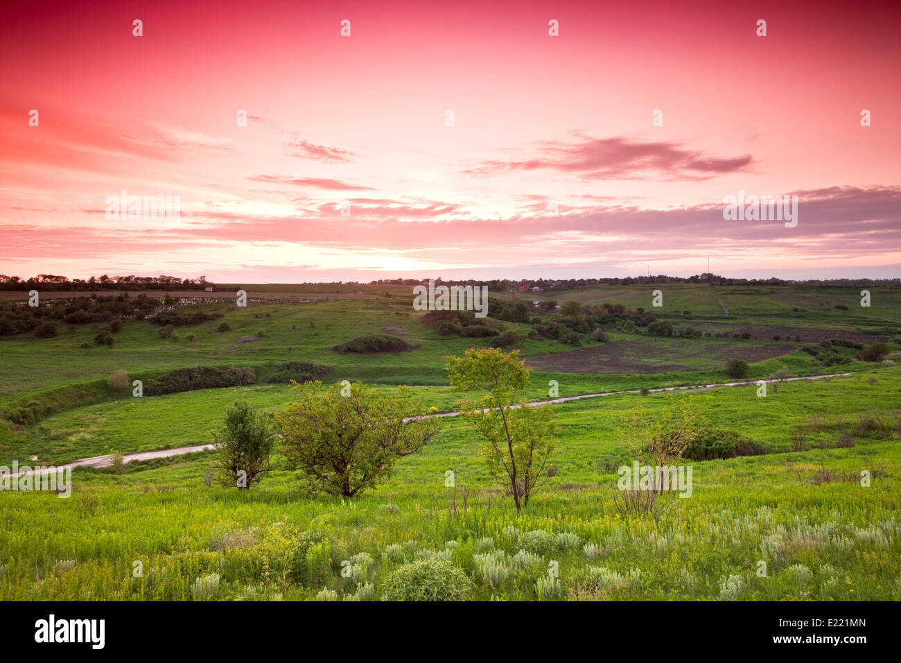 Grain fields in summer hi-res stock photography and images - Alamy