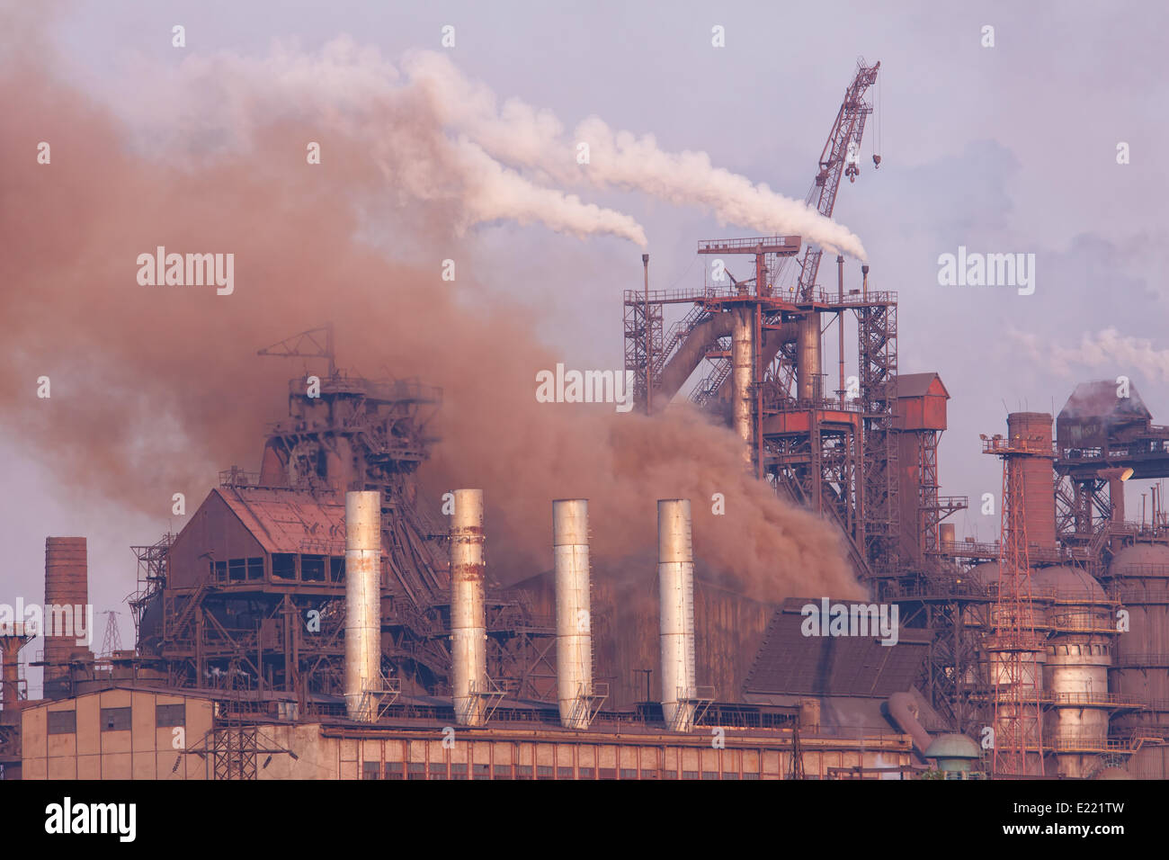 Plant with smoke Stock Photo - Alamy