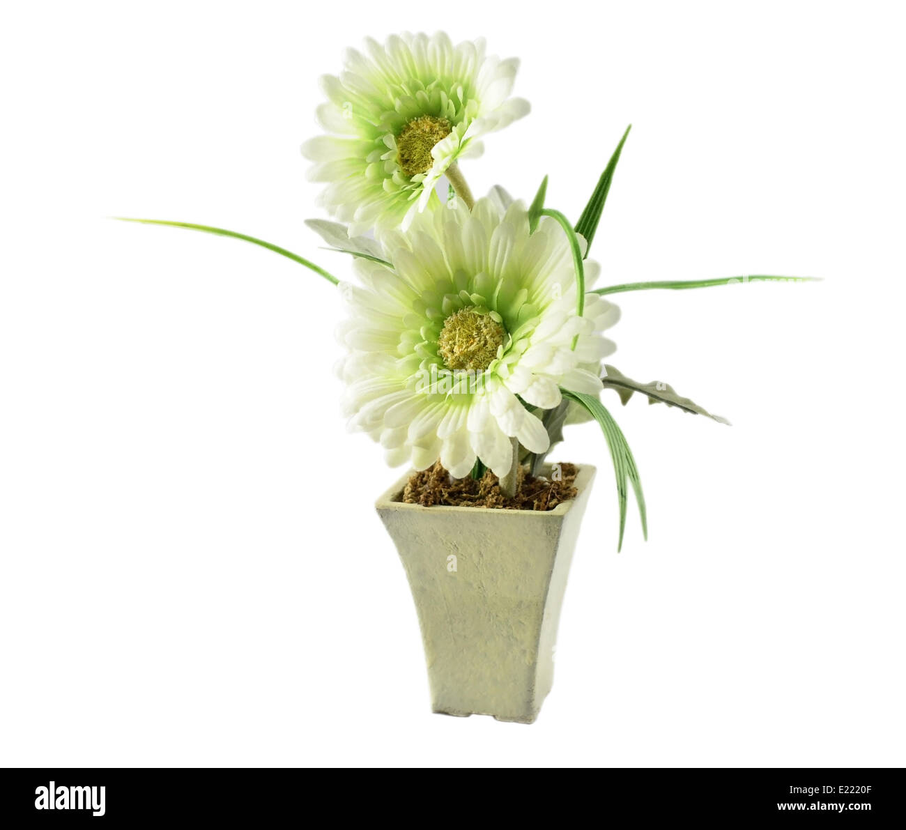 Decorative flowers at hi-res stock photography and images - Alamy