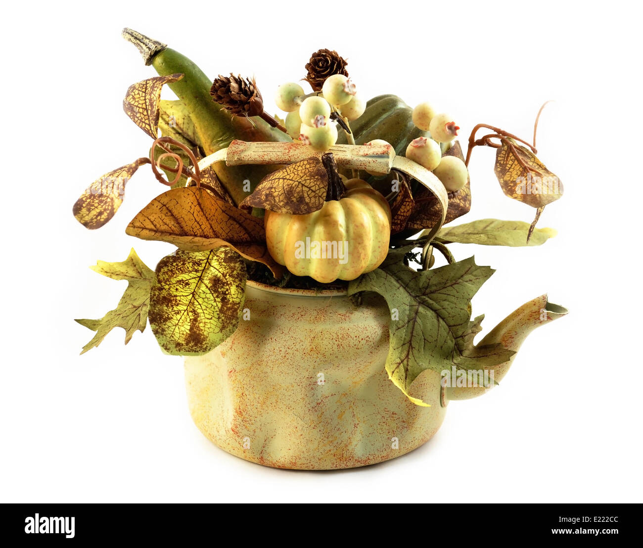 decorative pot with plants Stock Photo - Alamy