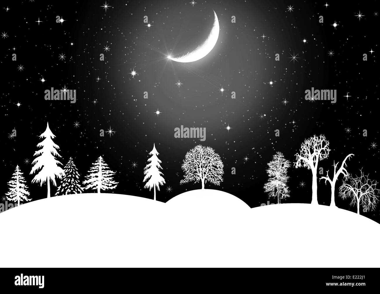 Christmas tree traditional composition Black and White Stock Photos ...