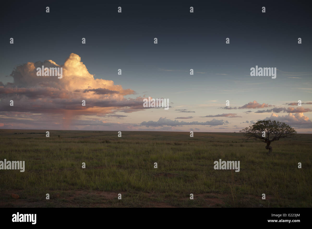 Southern madagascar hi-res stock photography and images - Alamy