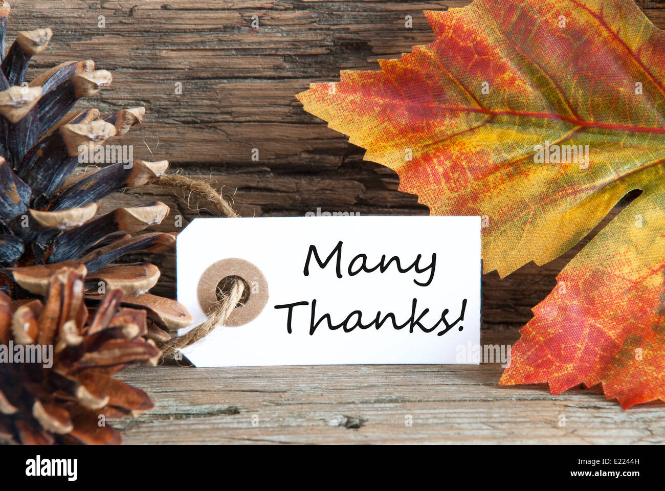 Fall Background with a Label with Many Thanks on it Stock Photo - Alamy