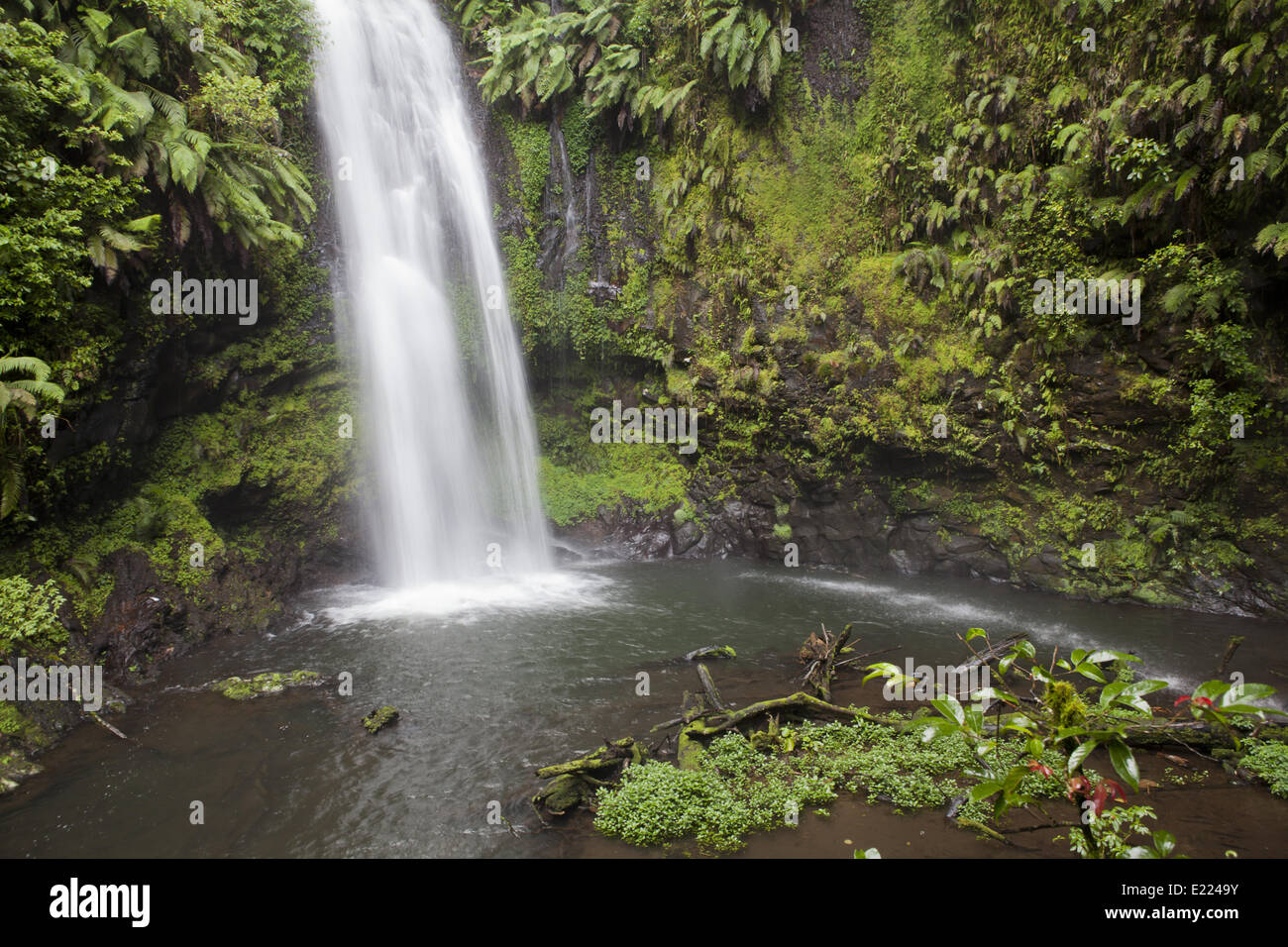 Waterfall in Montagne D'Ambre National Park Stock Photo - Alamy