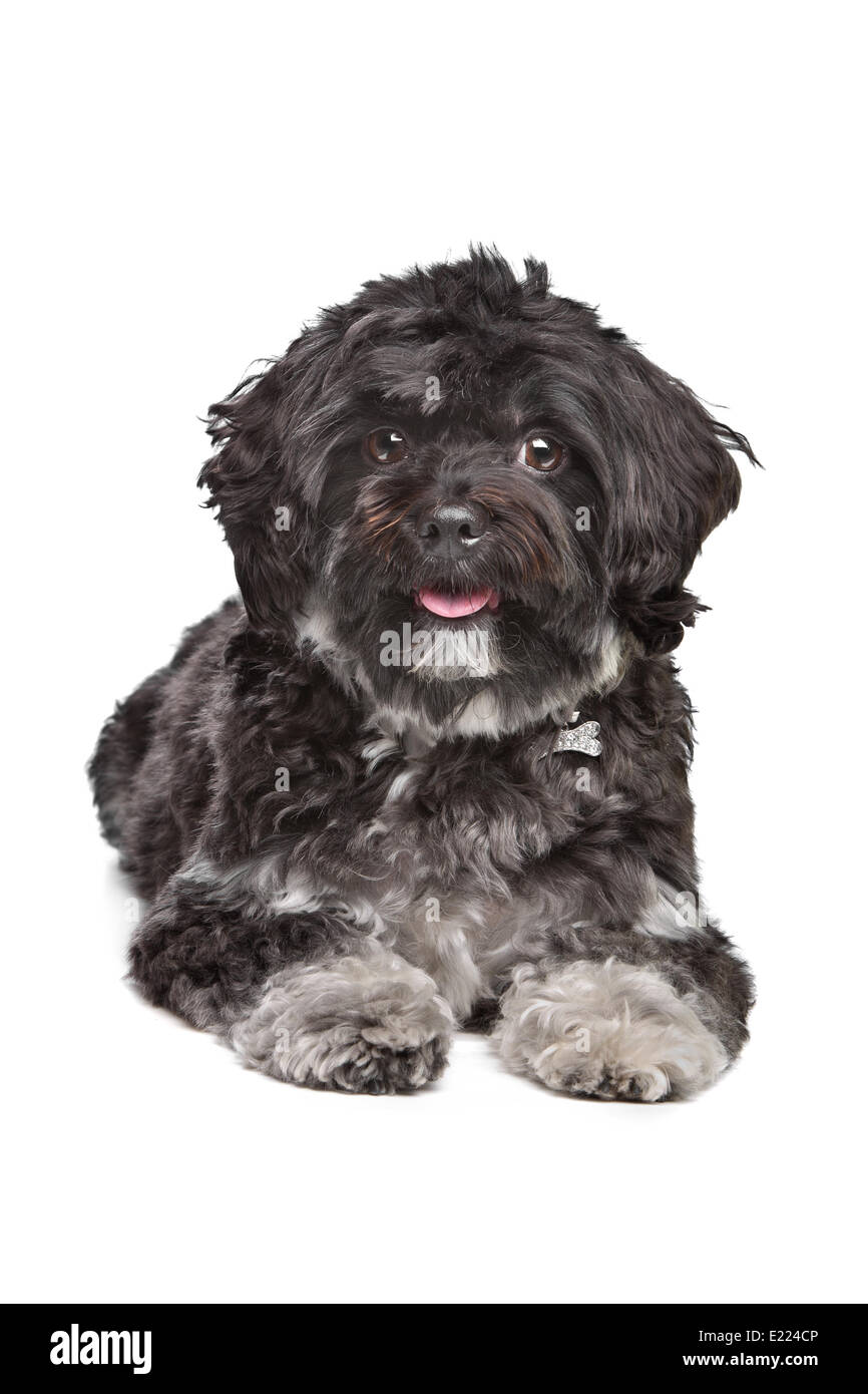 Little boomer hi-res stock photography and images - Alamy