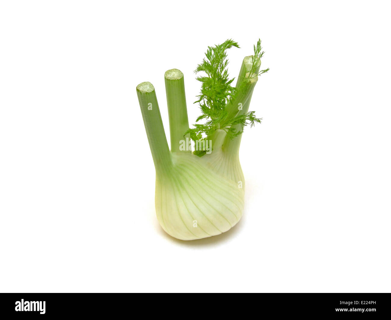 Spicy fennel hi-res stock photography and images - Alamy