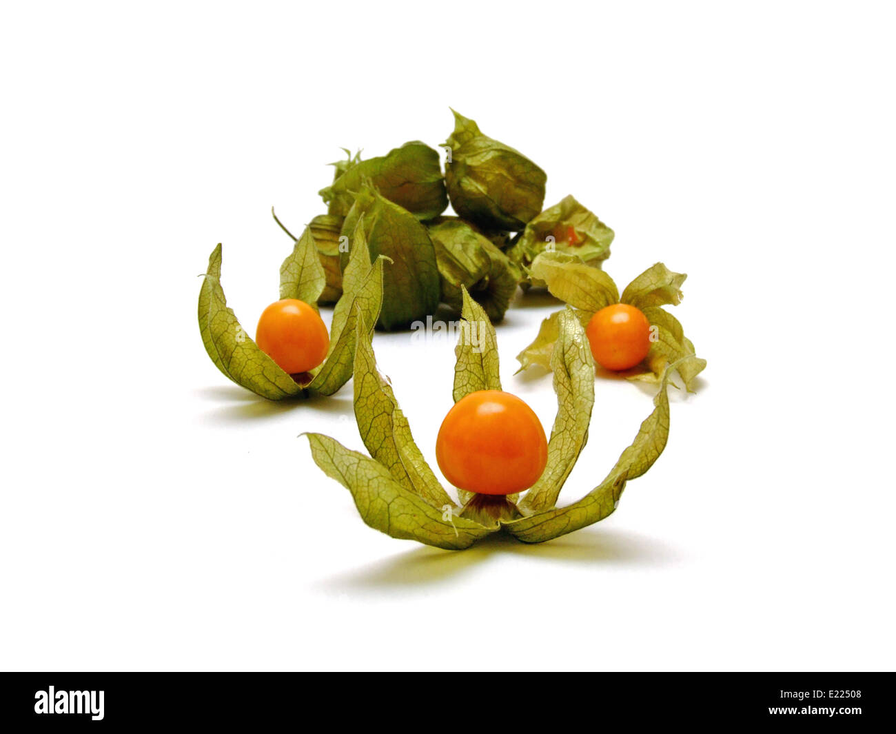 Judenkirsche Cut Out Stock Images & Pictures - Alamy