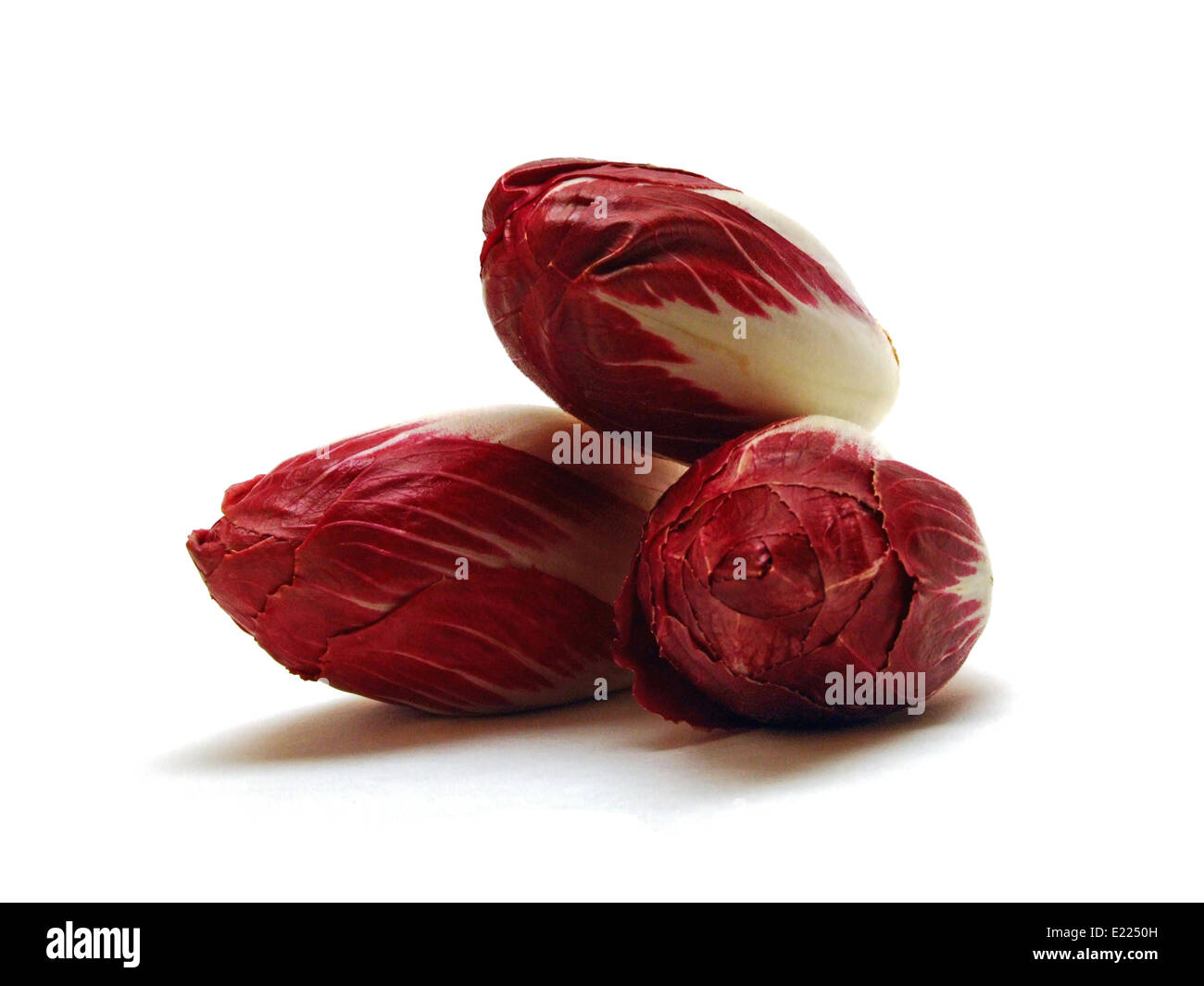 Witloof chicories hi-res stock photography and images - Alamy