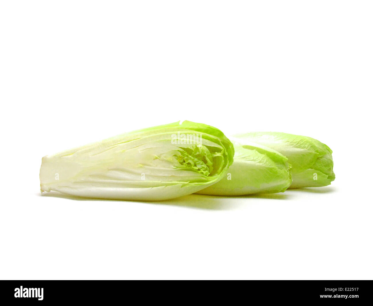 Witloof chicories hi-res stock photography and images - Alamy