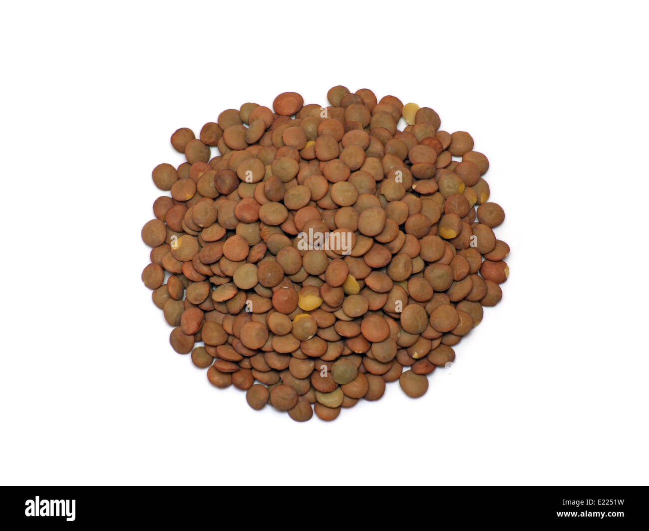 Lentils leguminous plant hi-res stock photography and images - Alamy