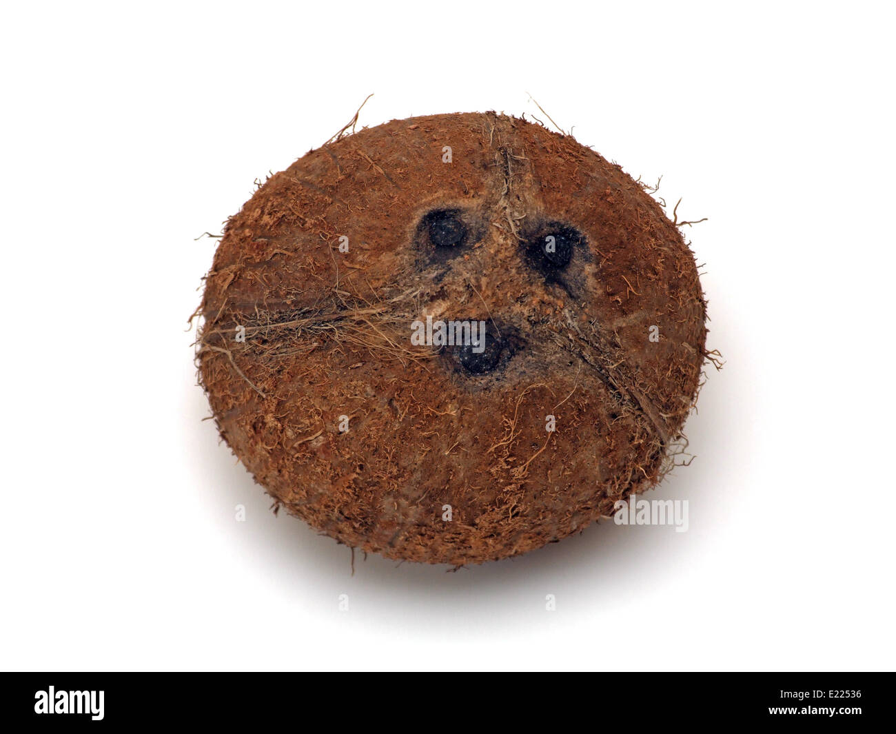 Coconut dishes Cut Out Stock Images & Pictures - Alamy