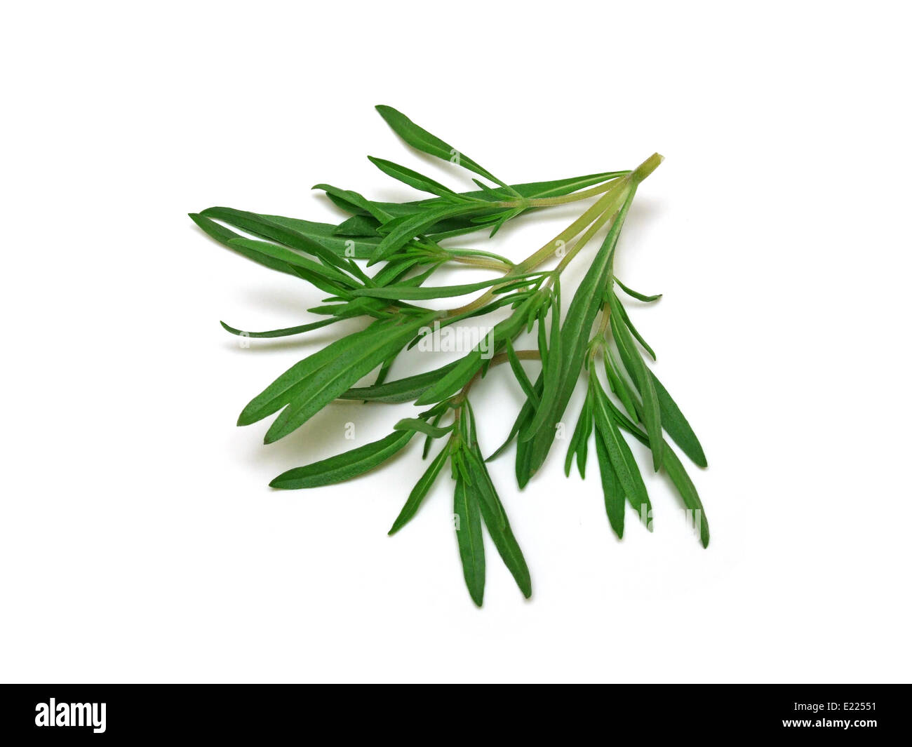 Savory dishes hi-res stock photography and images - Alamy