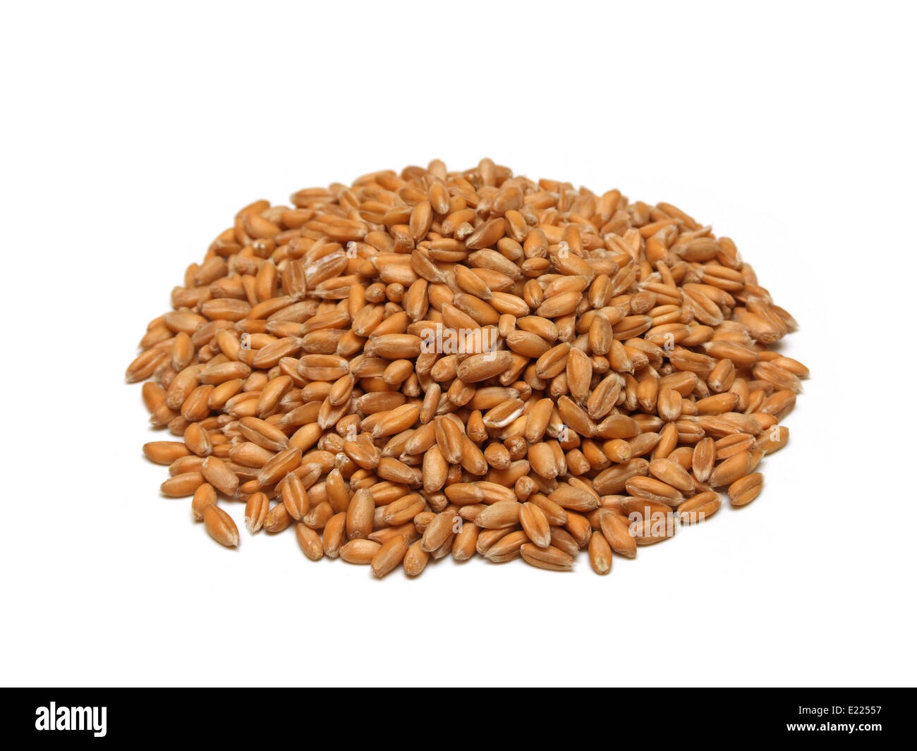Spelt crop hi-res stock photography and images - Alamy