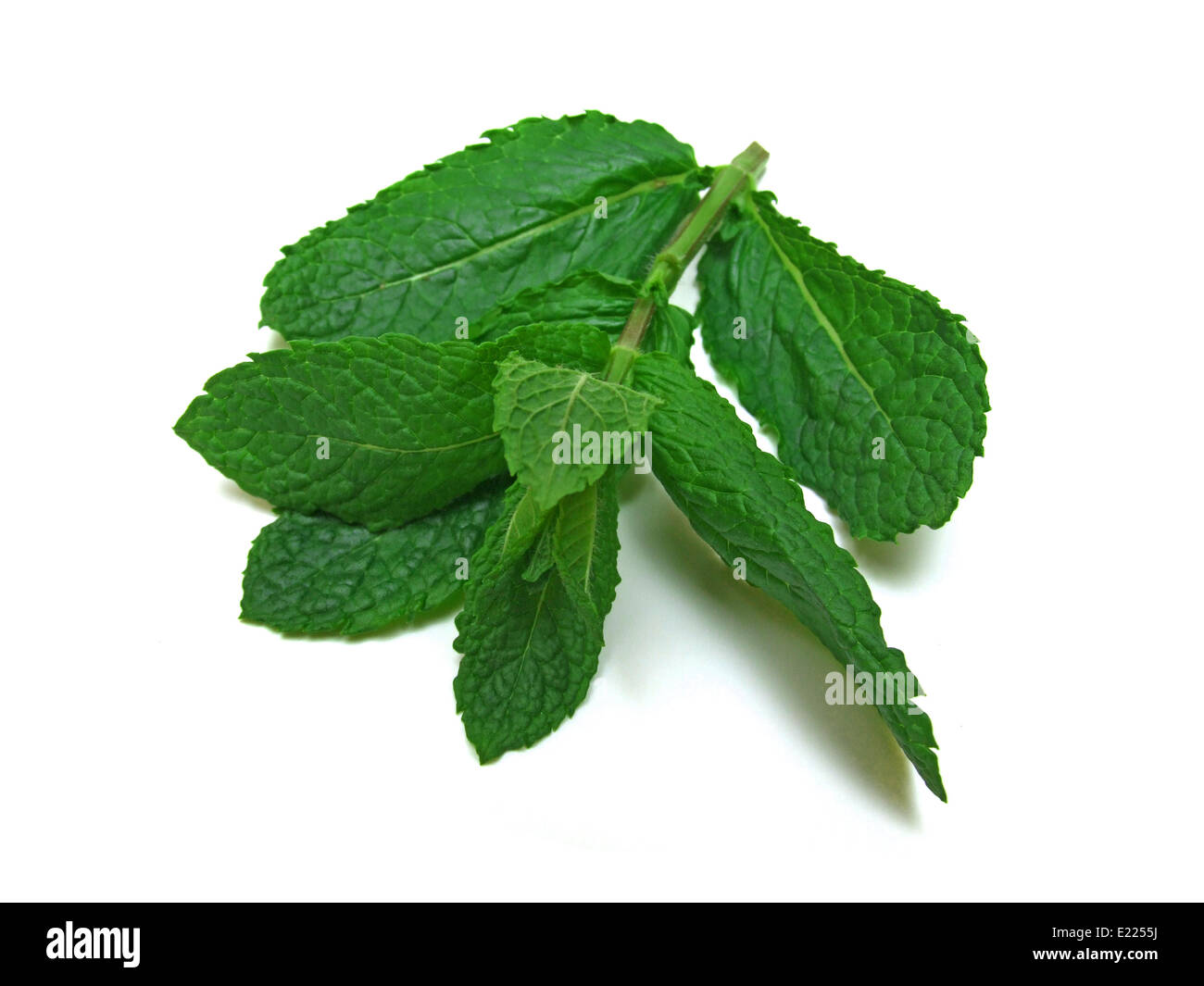 Pepper x green hi-res stock photography and images - Alamy