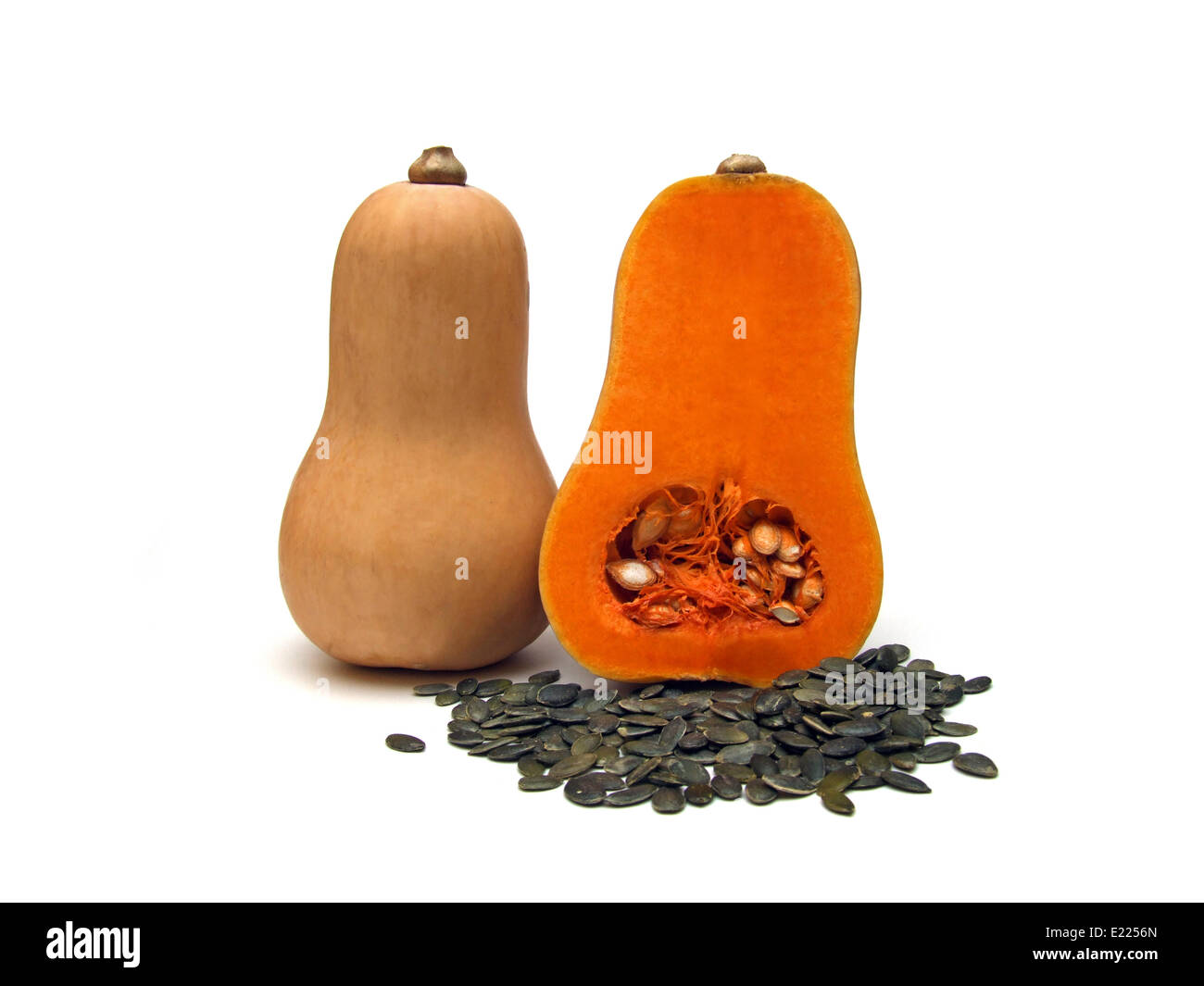Cucurbita moschata butternut hi-res stock photography and images - Alamy