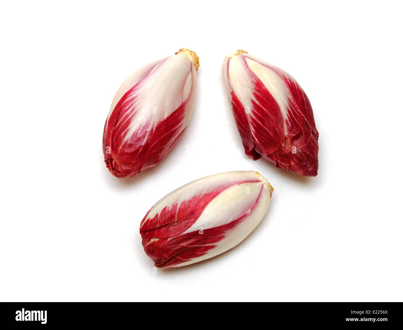 Witloof chicories hi-res stock photography and images - Alamy