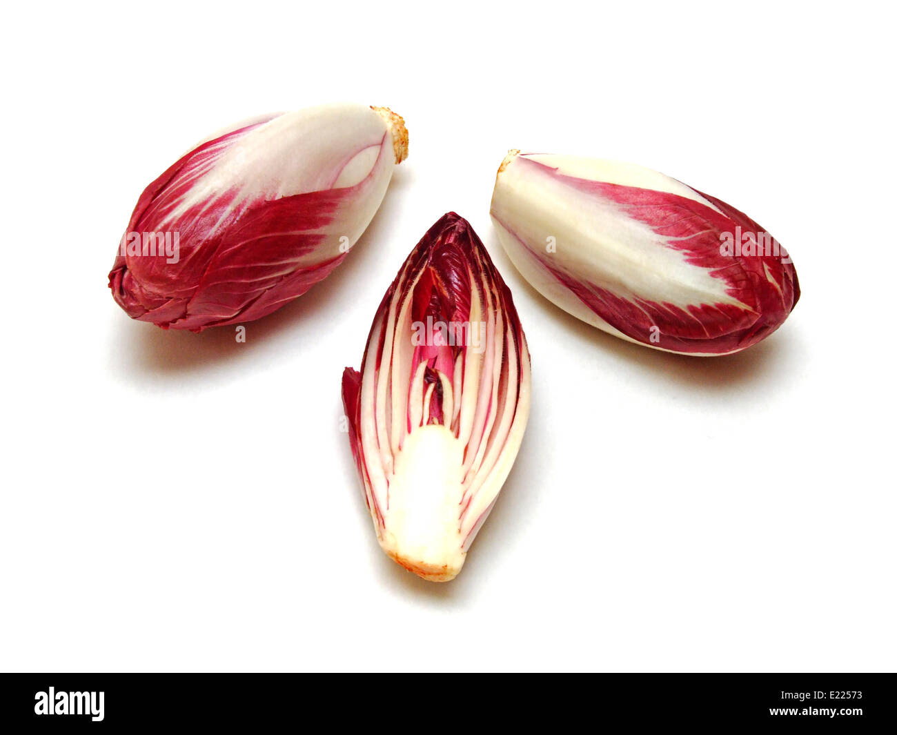 White chicories hi-res stock photography and images - Alamy