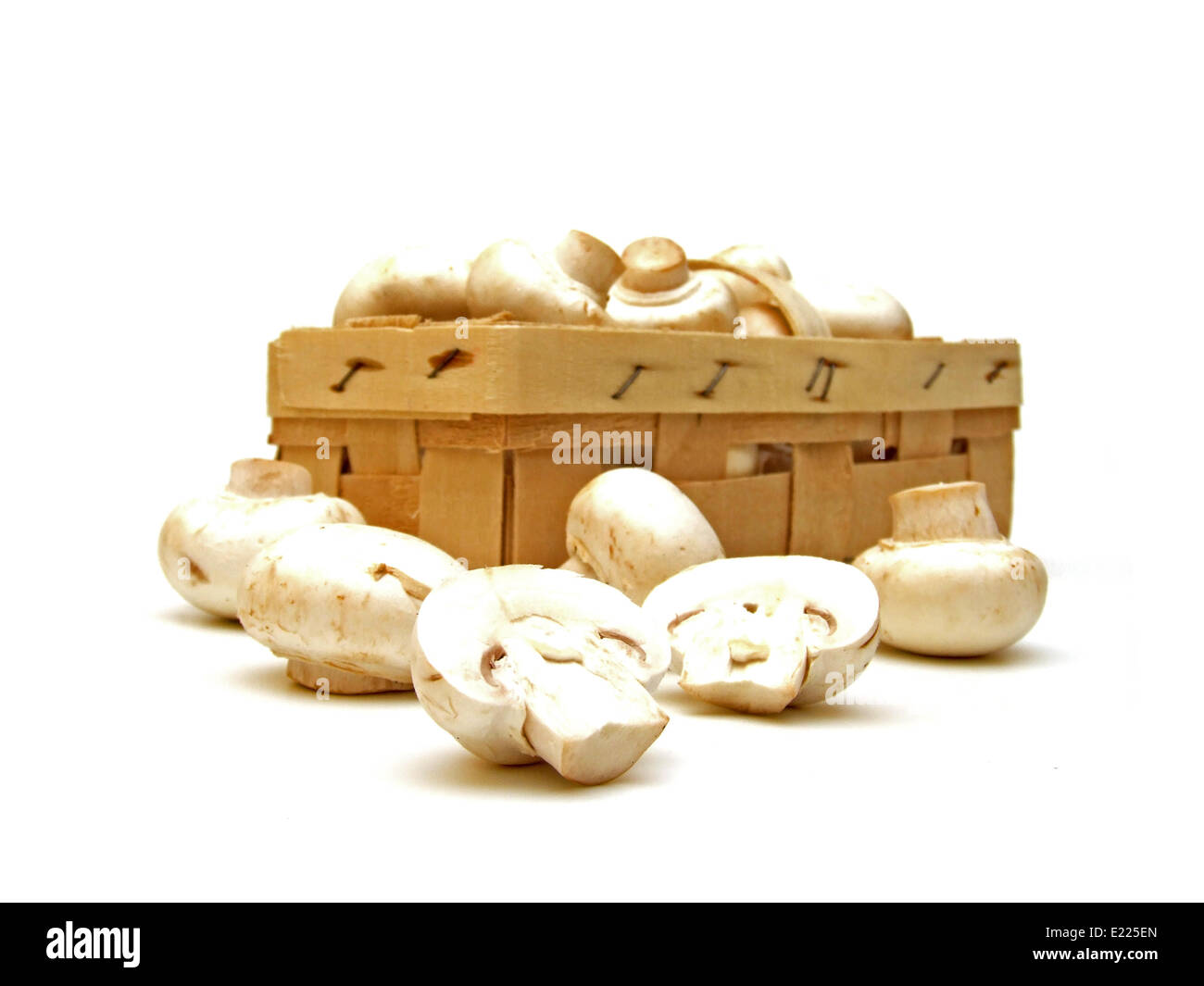 Champignons (Agaricus bisporus Stock Photo - Alamy