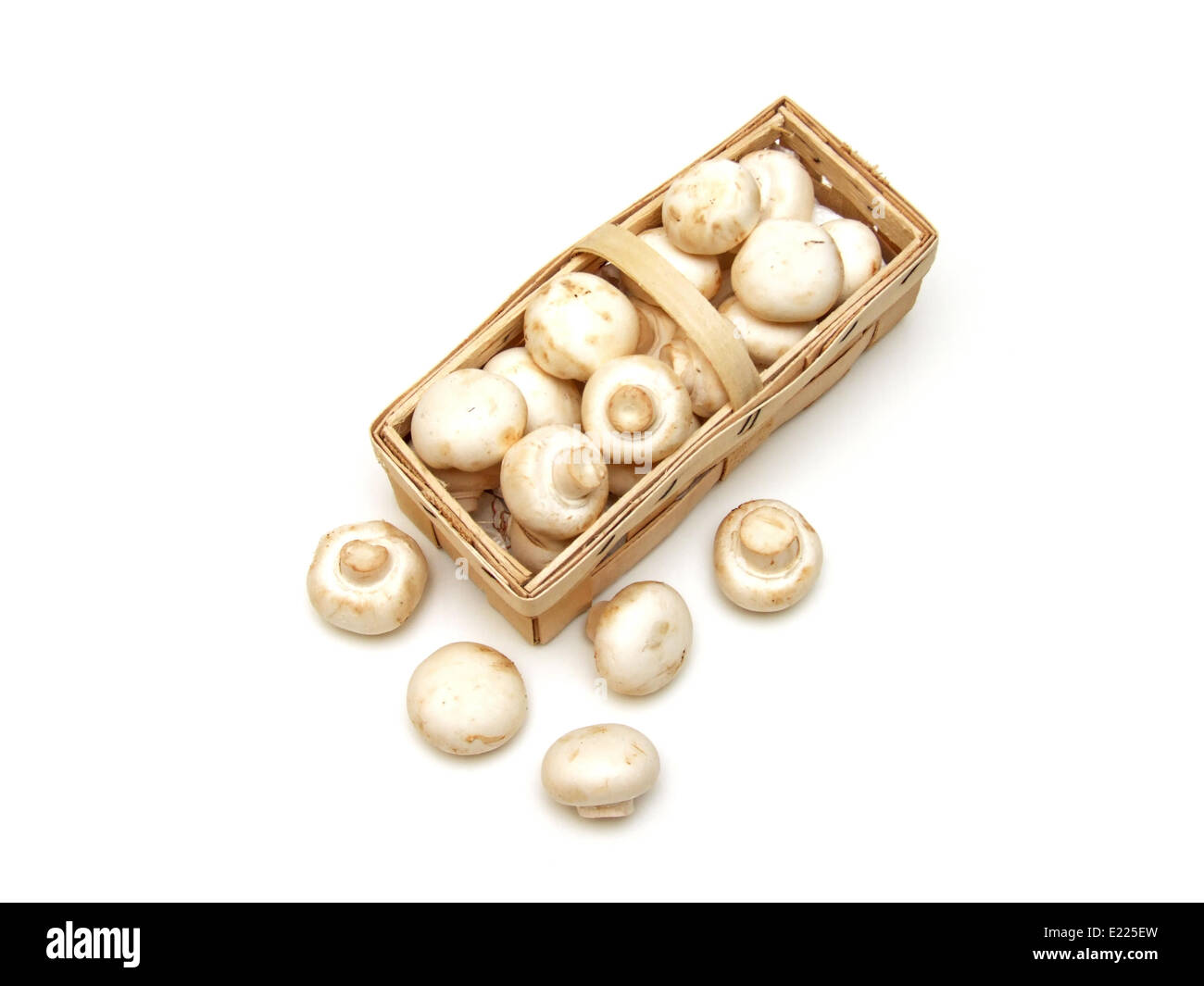 Champignons (Agaricus bisporus Stock Photo - Alamy