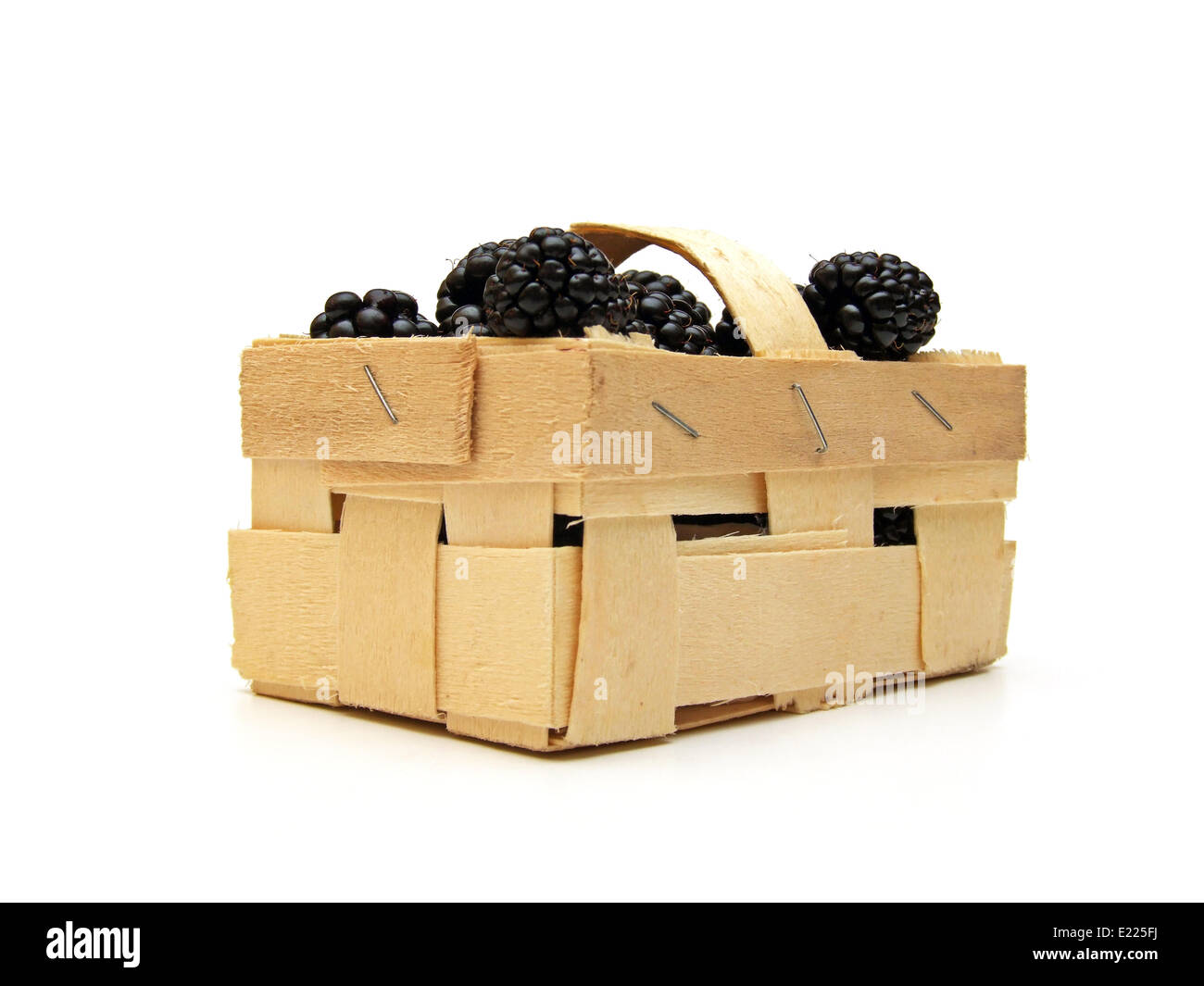 Rubus rubus sectio hi-res stock photography and images - Alamy