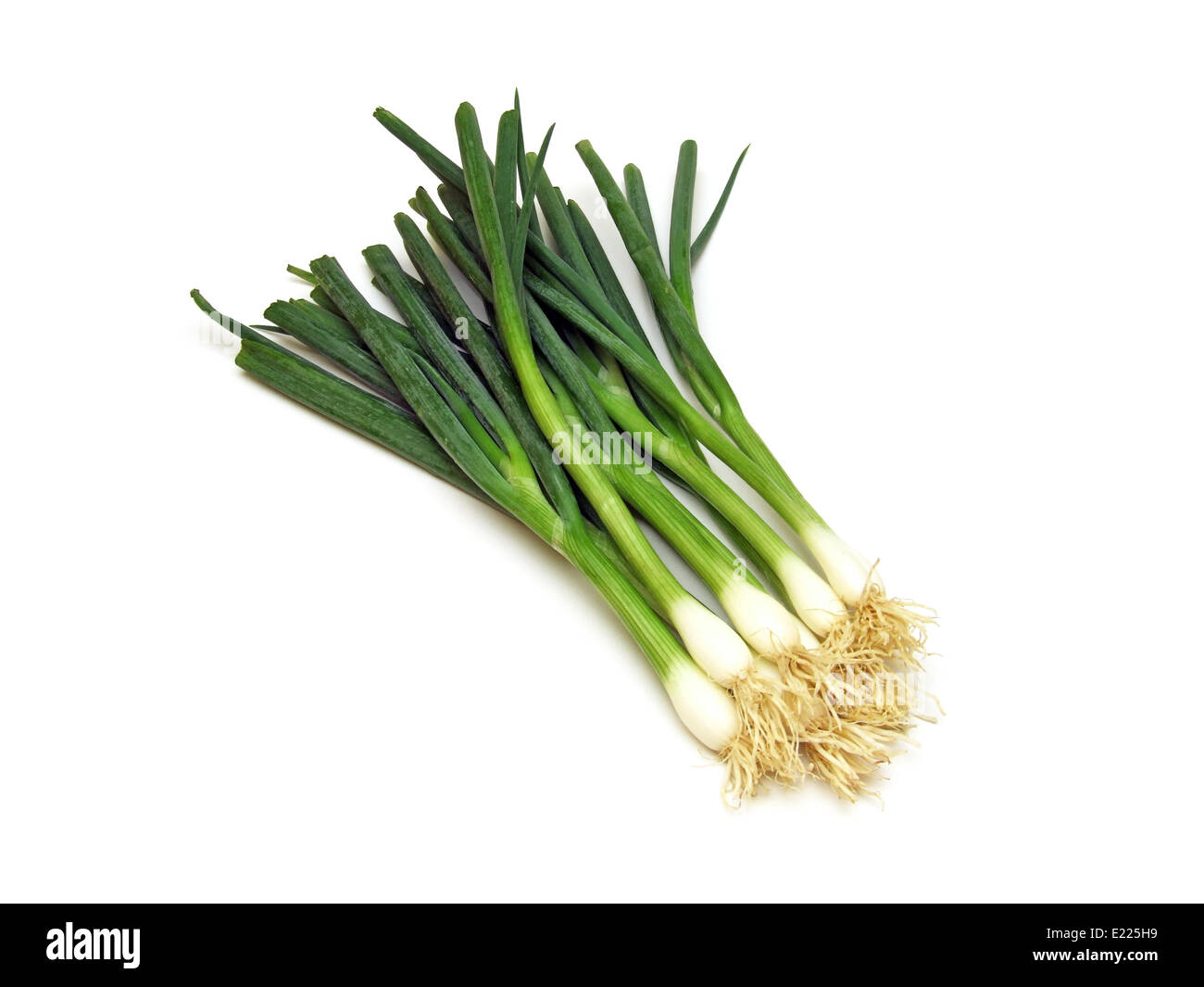 Spring fayre hi-res stock photography and images - Alamy