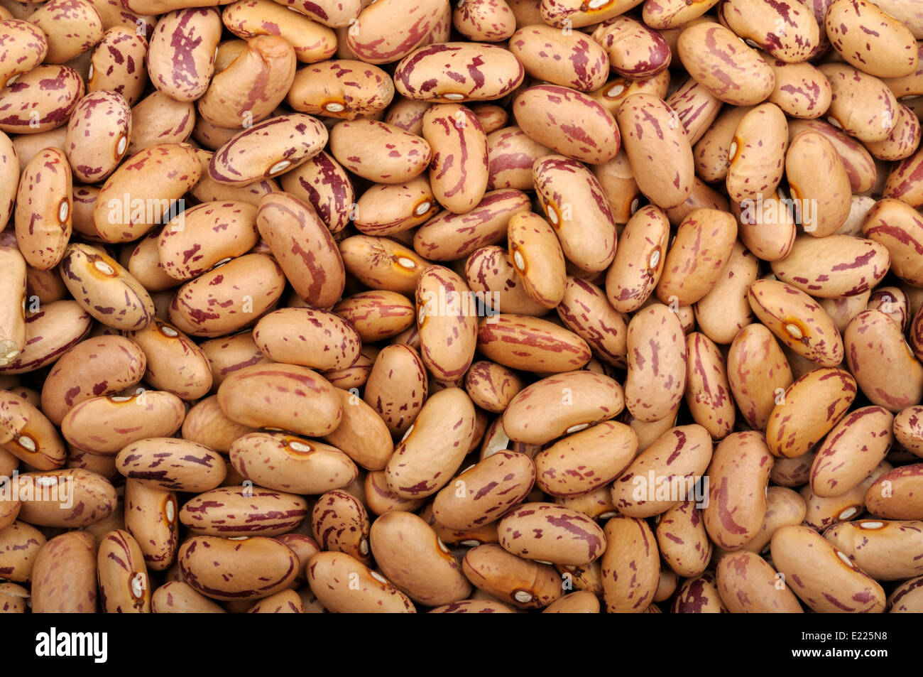 background of Pinto beans Stock Photo - Alamy