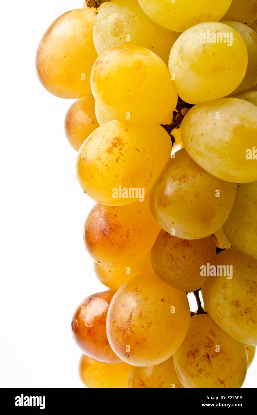 Single grape berry hi-res stock photography and images - Alamy