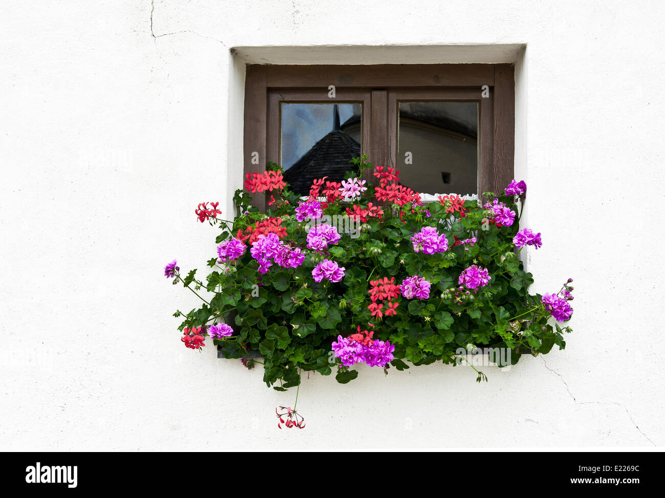 Window floral frame Cut Out Stock Images & Pictures - Alamy