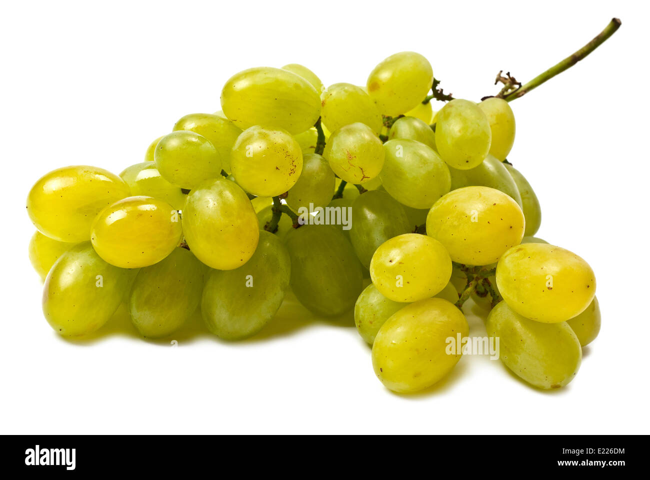 Arrang Cut Out Stock Images & Pictures - Alamy