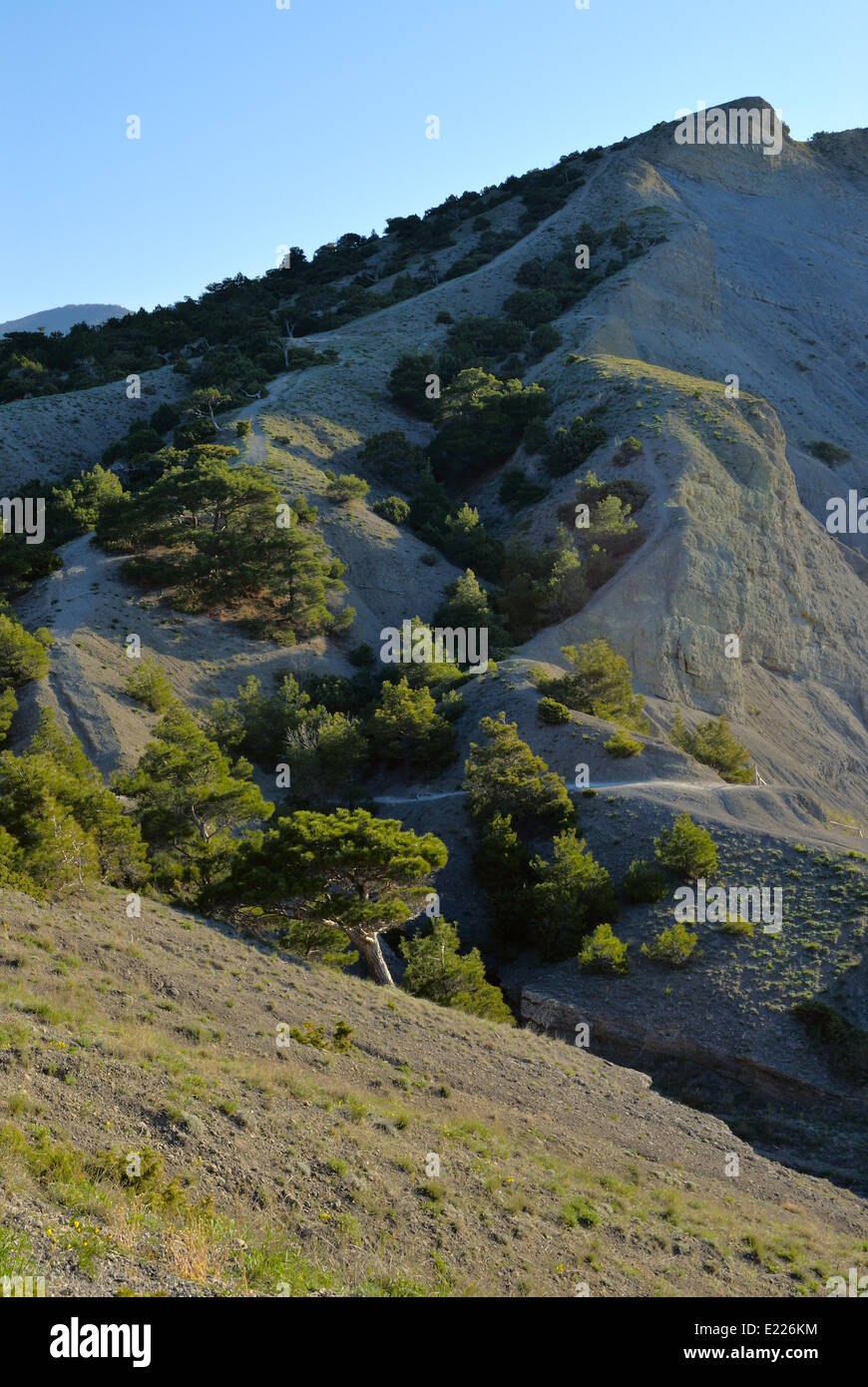 Rocky Mountain Foothills High Resolution Stock Photography and Images ...