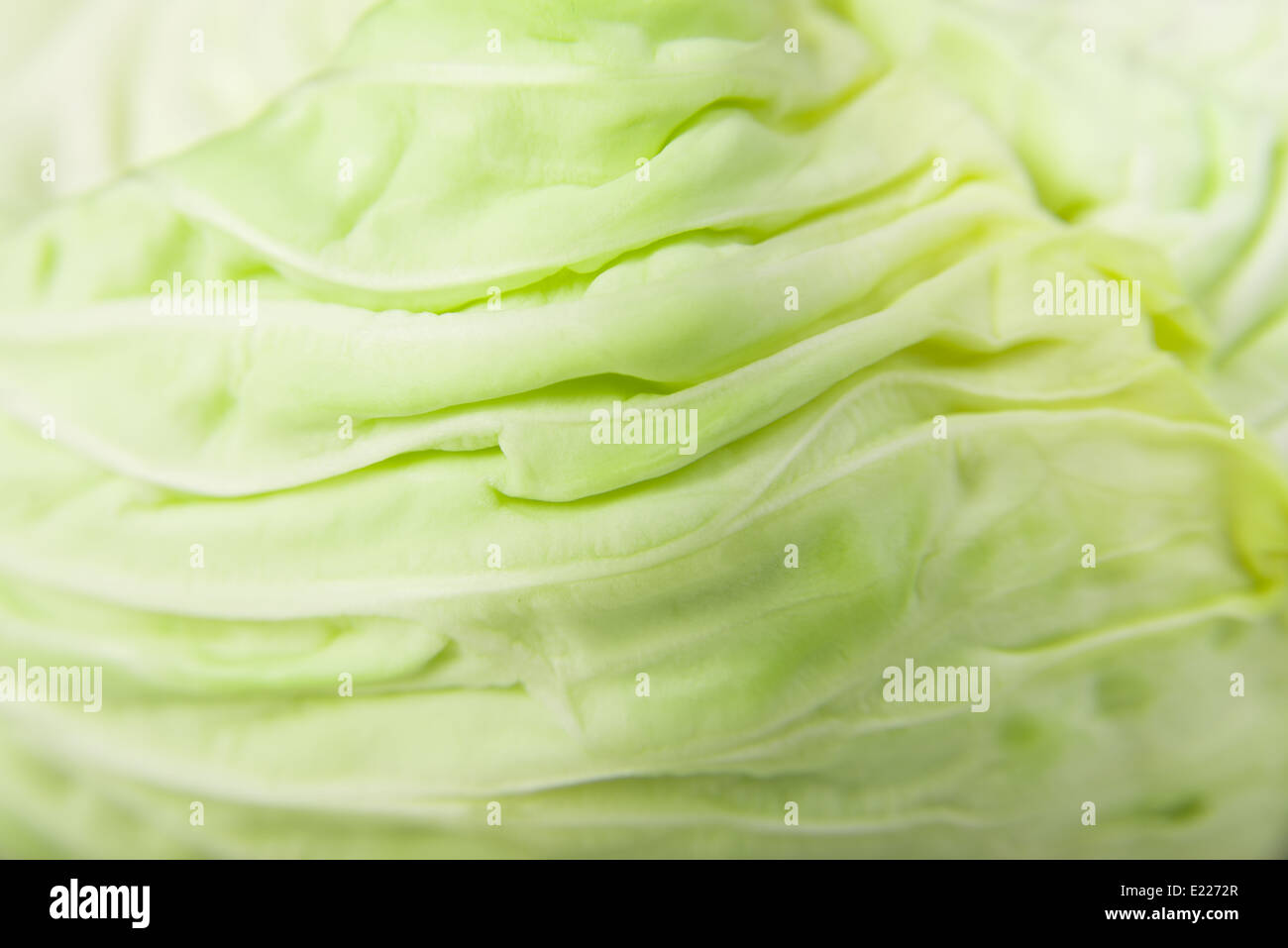Cabbage close up hi-res stock photography and images - Alamy