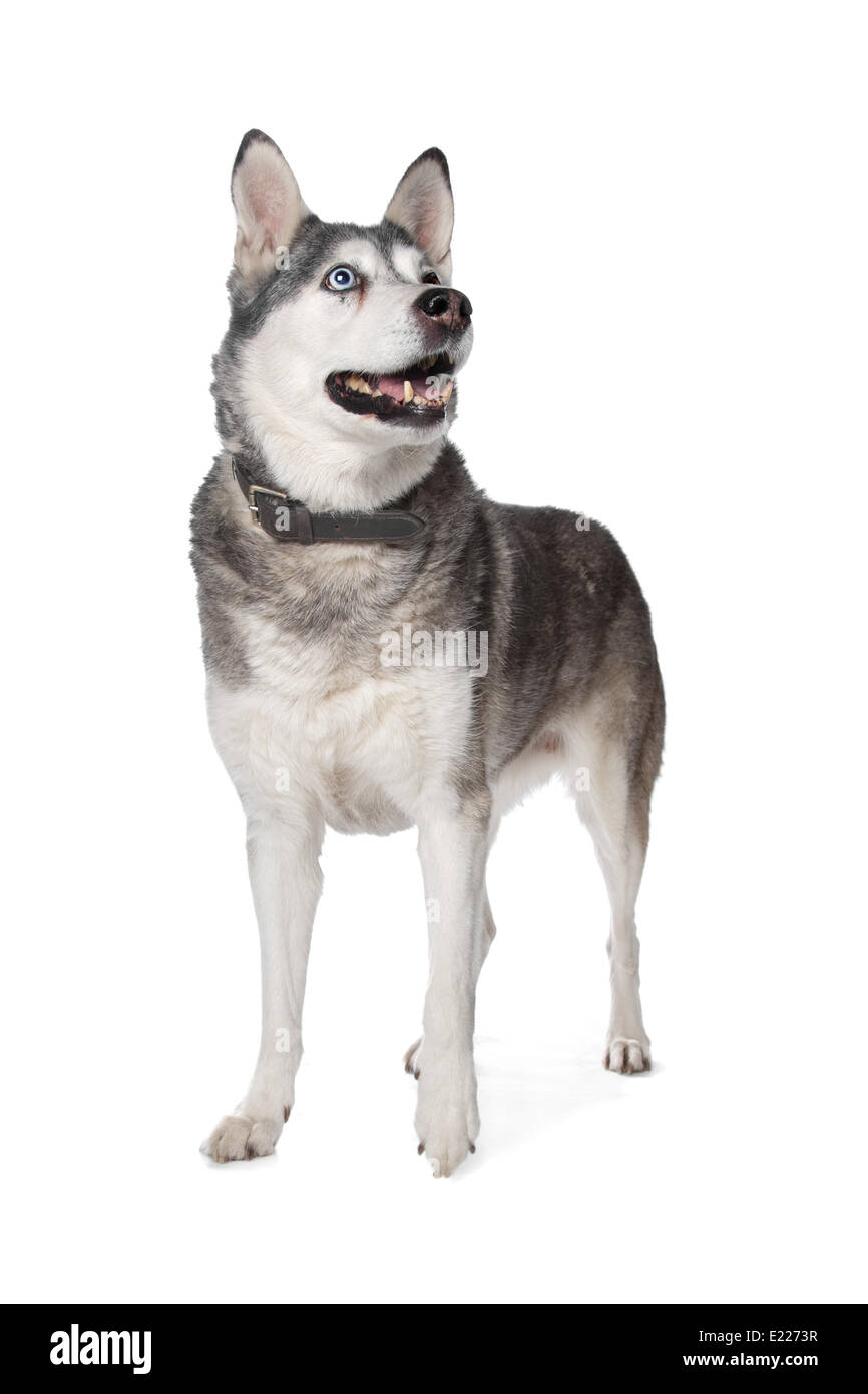 Siberian people Cut Out Stock Images & Pictures - Alamy