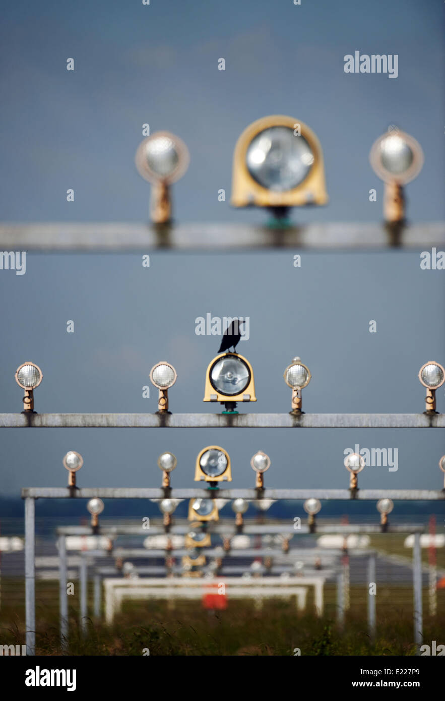 Bueren, Germany. 13th June, 2014. A bird sits on navigation lights at ...