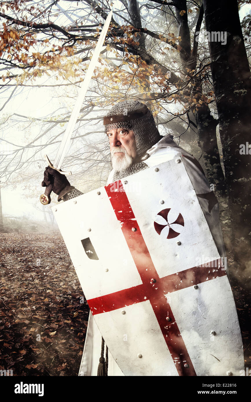 Templar knight in the woods ready for battle Stock Photo - Alamy