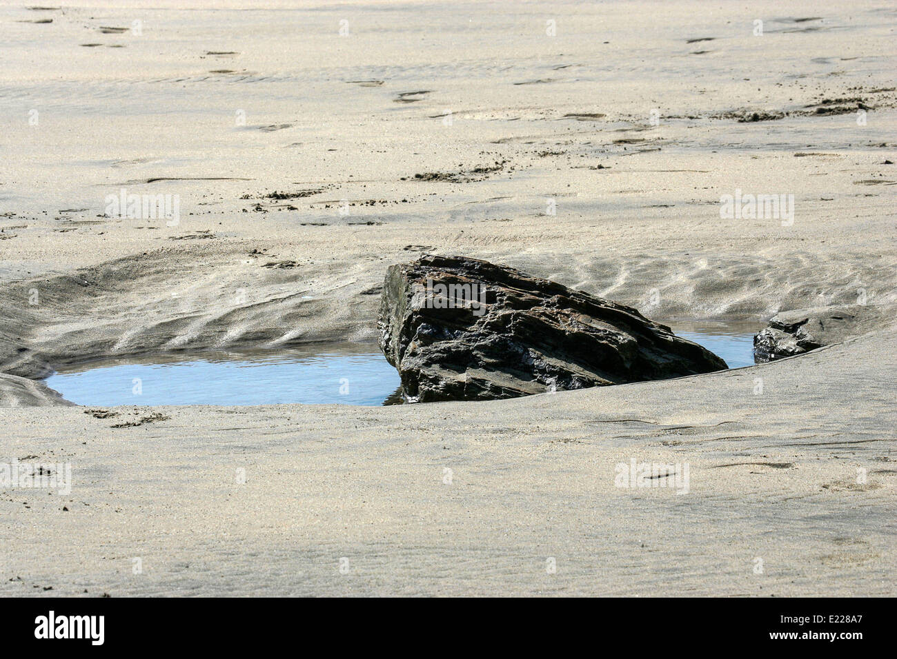 Rock pool on a sandy beach in Cornwall. The rock has caused the sea to ...